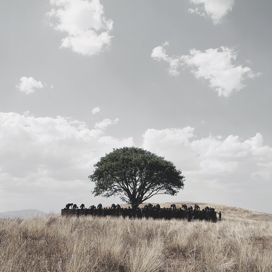 Shirin Neshat Editions – Schellmann Art